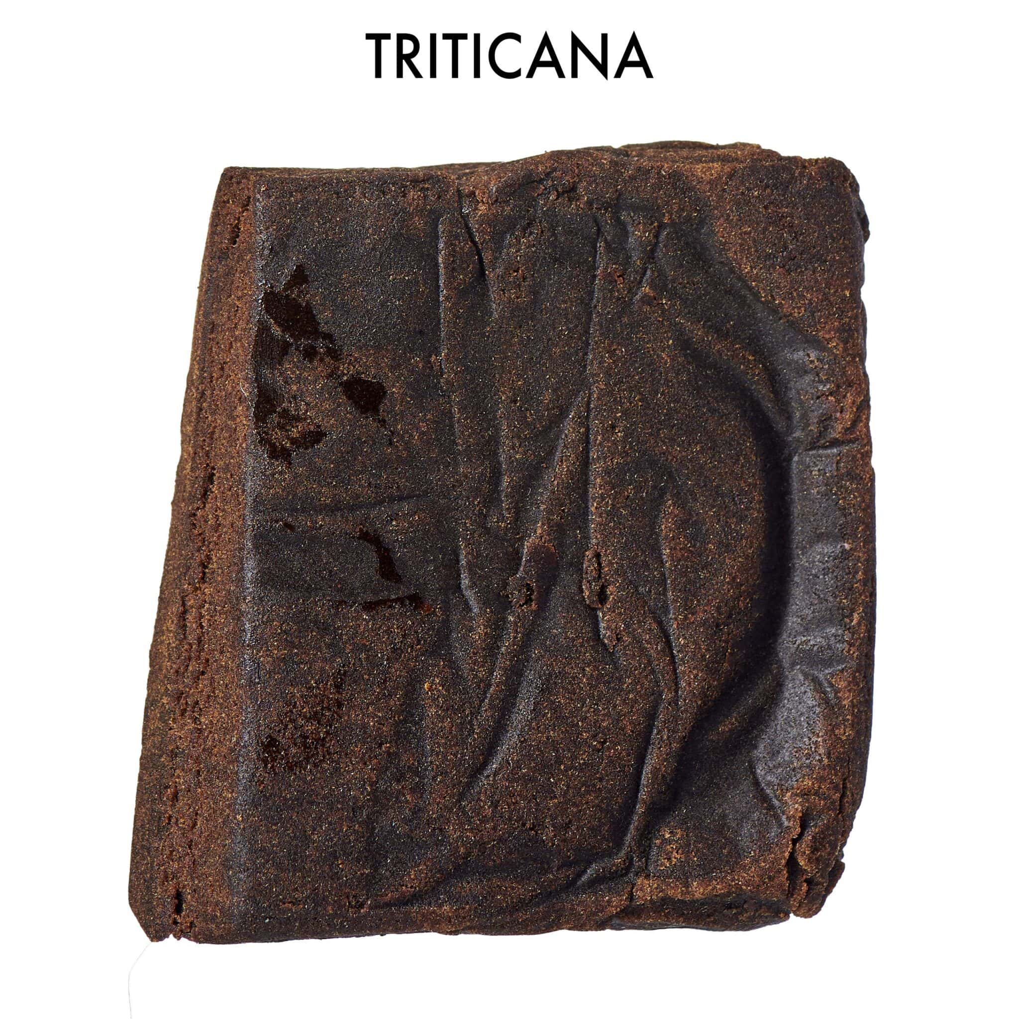 HASH – Triticana – Harmonized Hemp