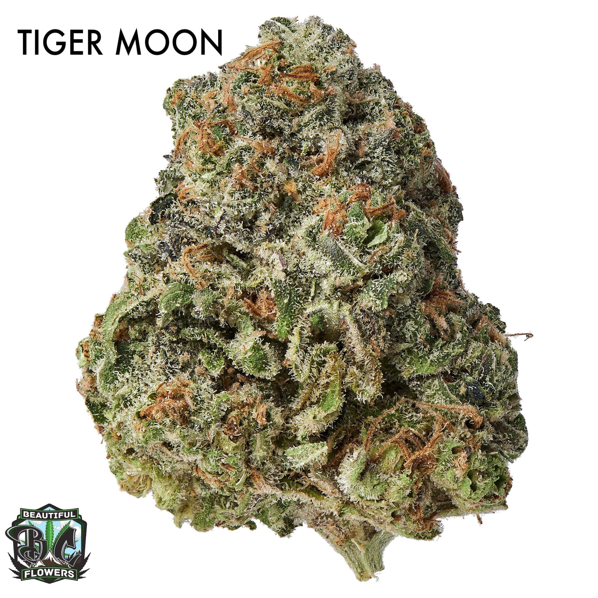 ON SPECIAL FLOWER – Tiger Moon – Harmonized Hemp